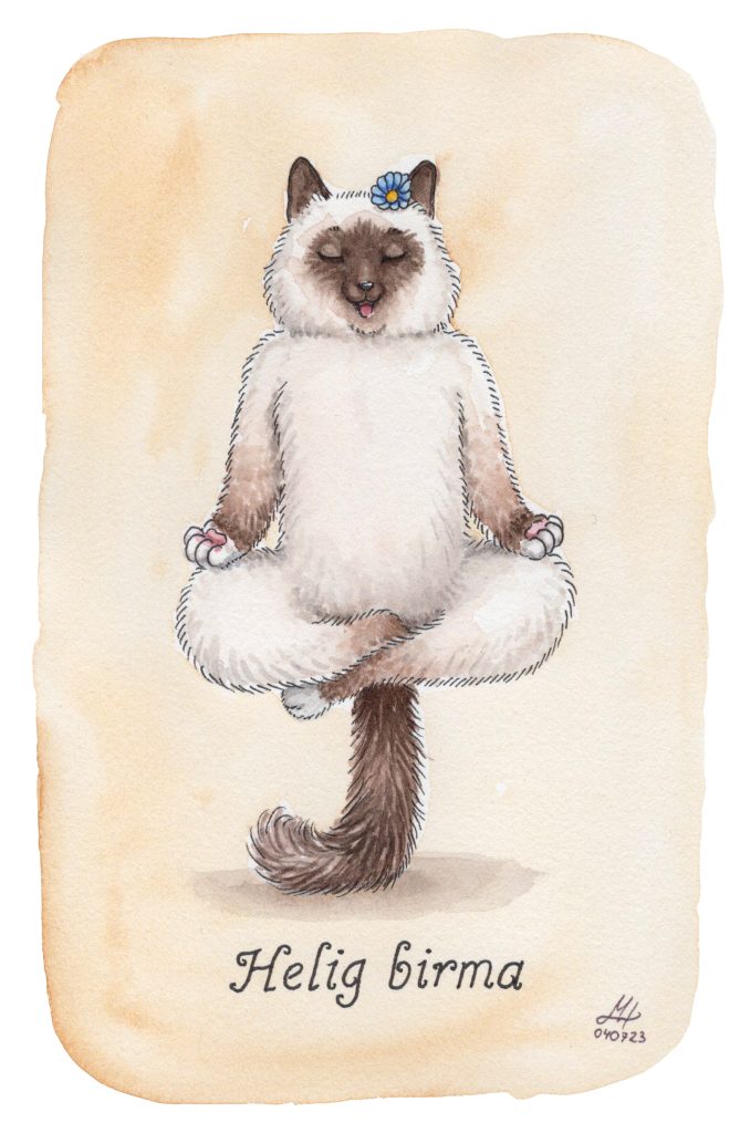 Helig birma - illustrerad ordvits - Bokstavligt målat